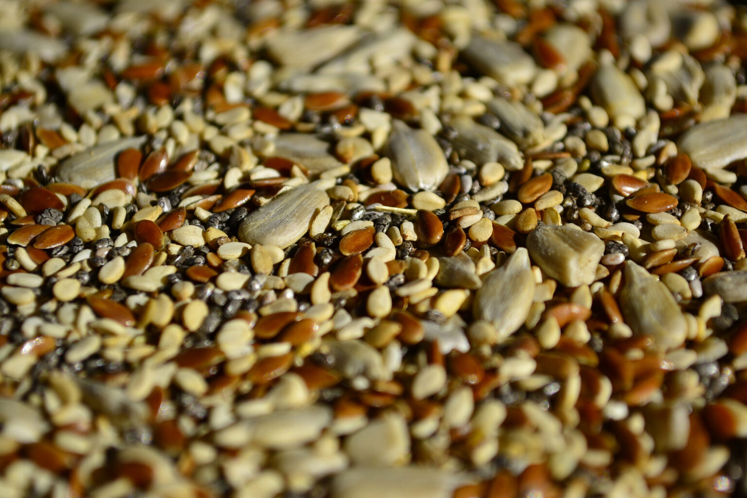 Como incorporar 5 semillas al dia? - Natural Seed